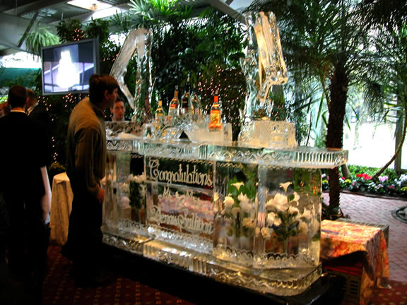Functional 10 Ft. Ice Bar